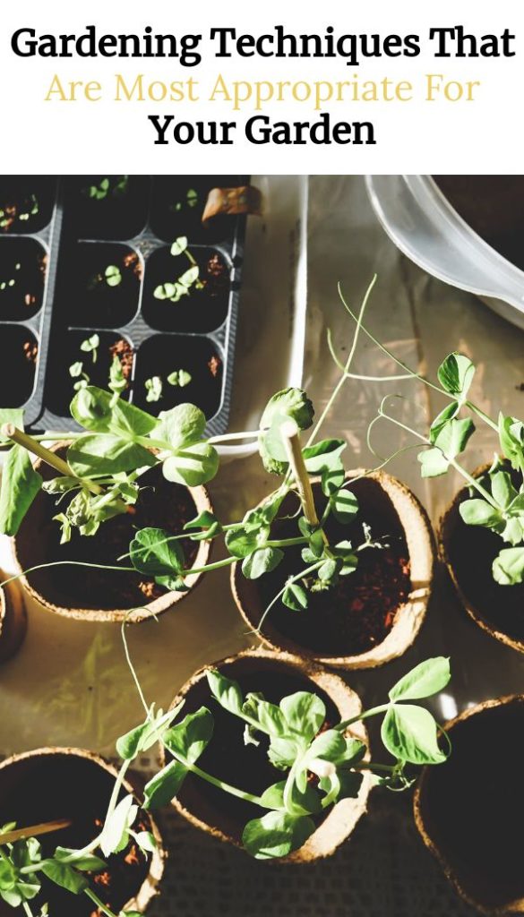 Gardening Techniques That Are Most Appropriate For Your Garden ...